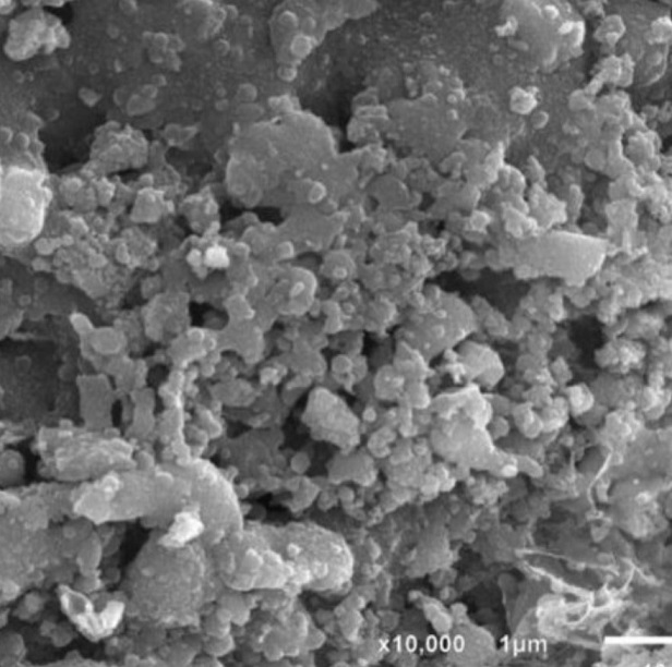 SEM - Scanning Electron Microscopy US Lab