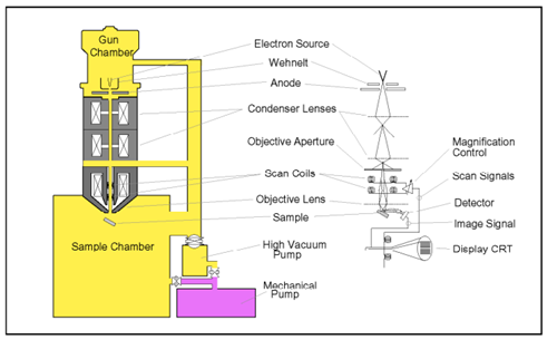 Environmental Scanning Electron Microscopy (ESEM) US Lab